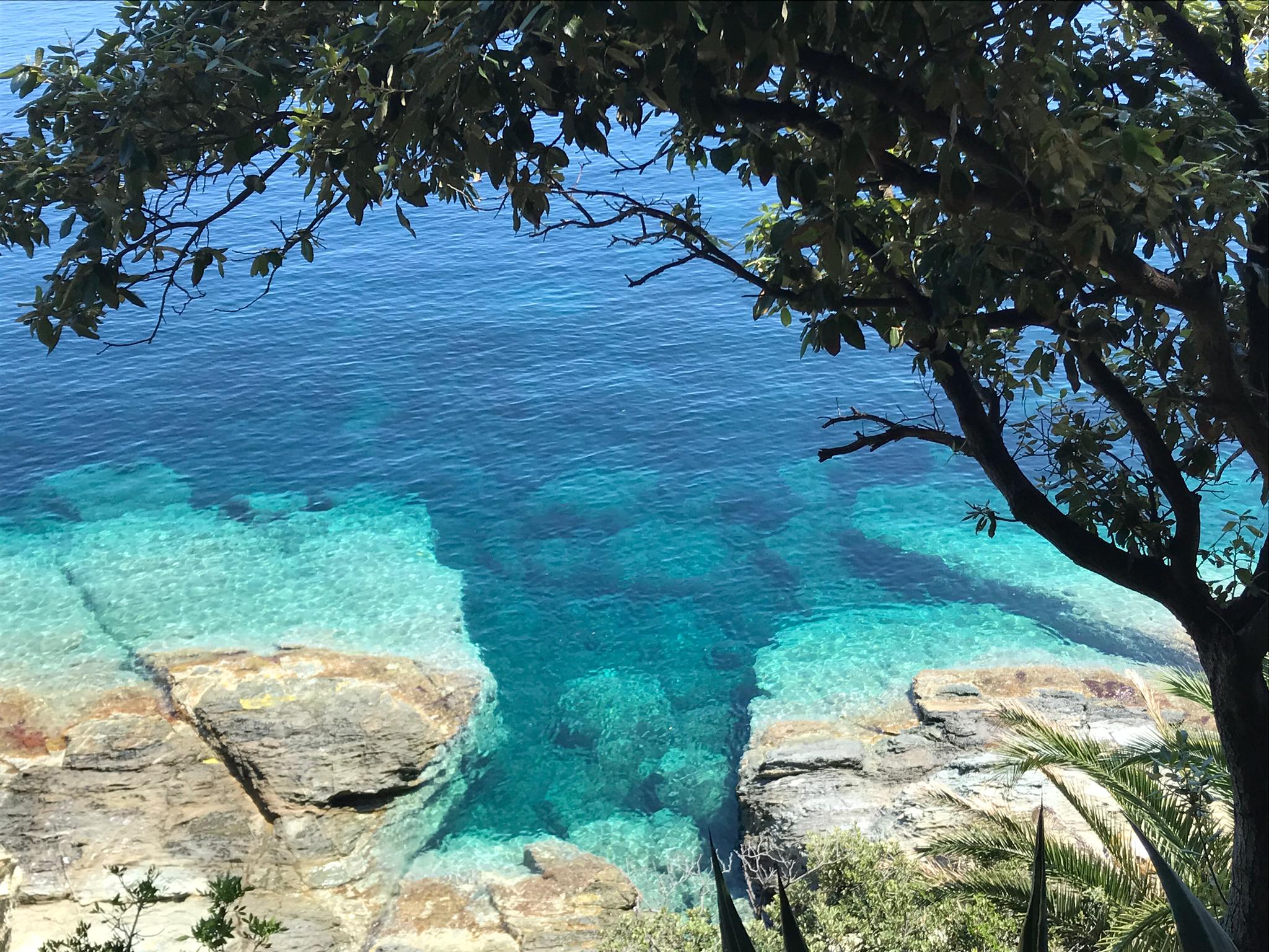 0c368f20-8988-463a-aa8d-b2d76e665c29 – Spectrum